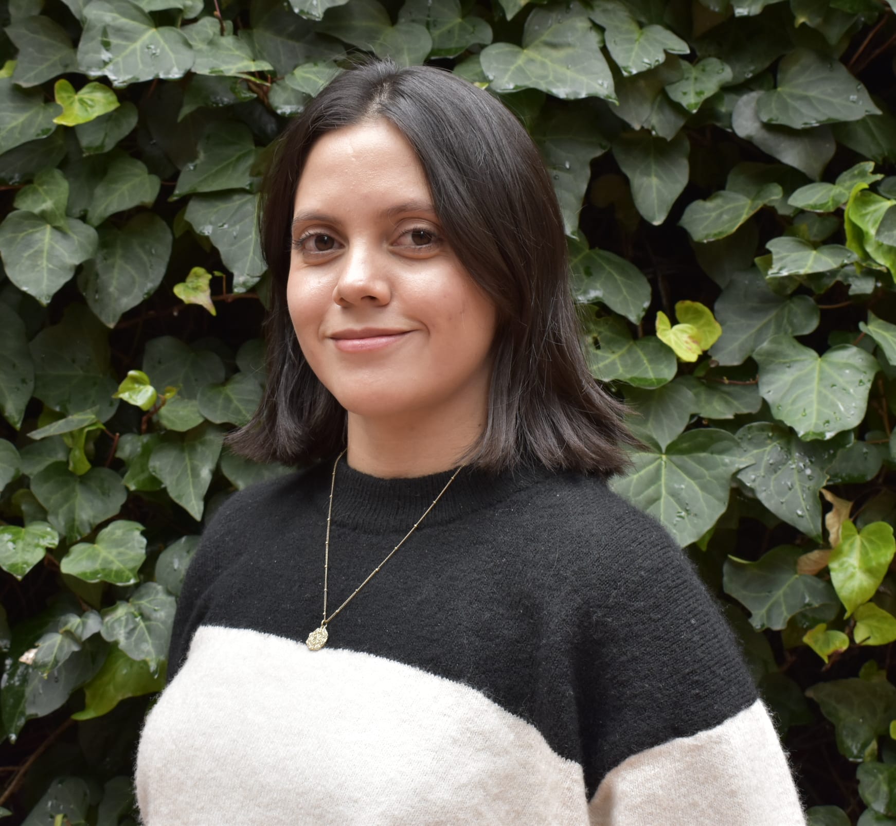 Equipo | Fedesarrollo